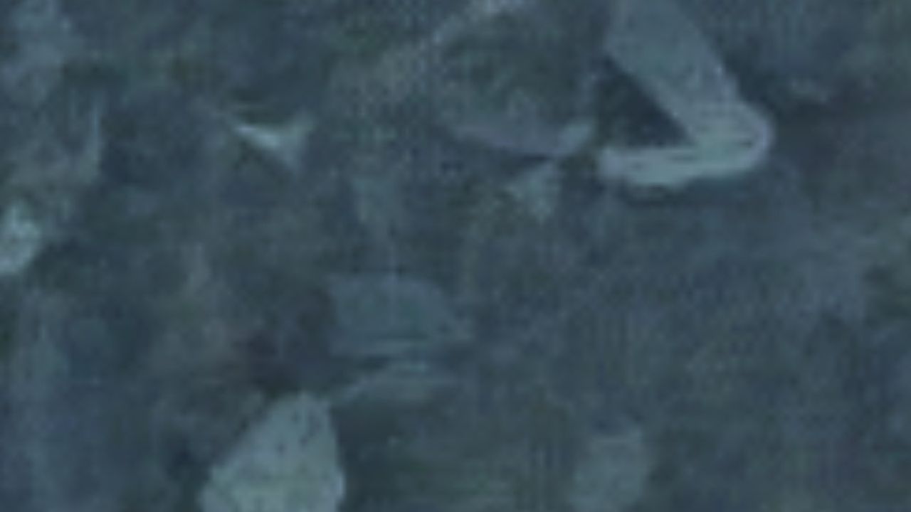 Gammad - HiberWorld: Play, Create, Share.