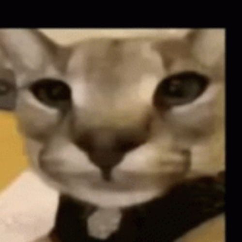 floppa_hecker - HiberWorld: Play, Create and Share in the Metaverse.